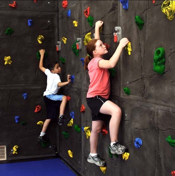 8' H x 20' W Superior Rock Traverse Climbing Wall with 100 Hand Holds ...