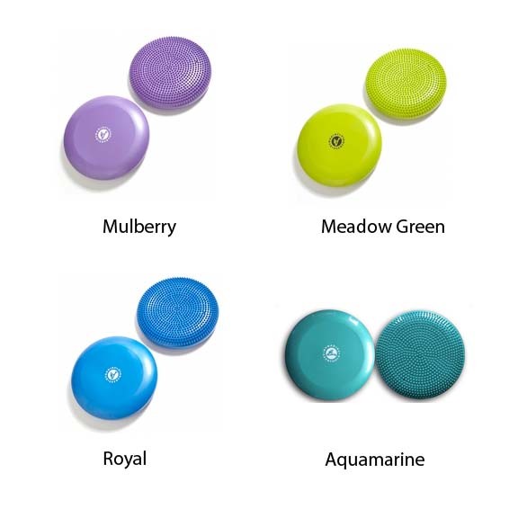 DynaDisc Balance Disc Cushion (14" Diameter) - OnlineSports.com